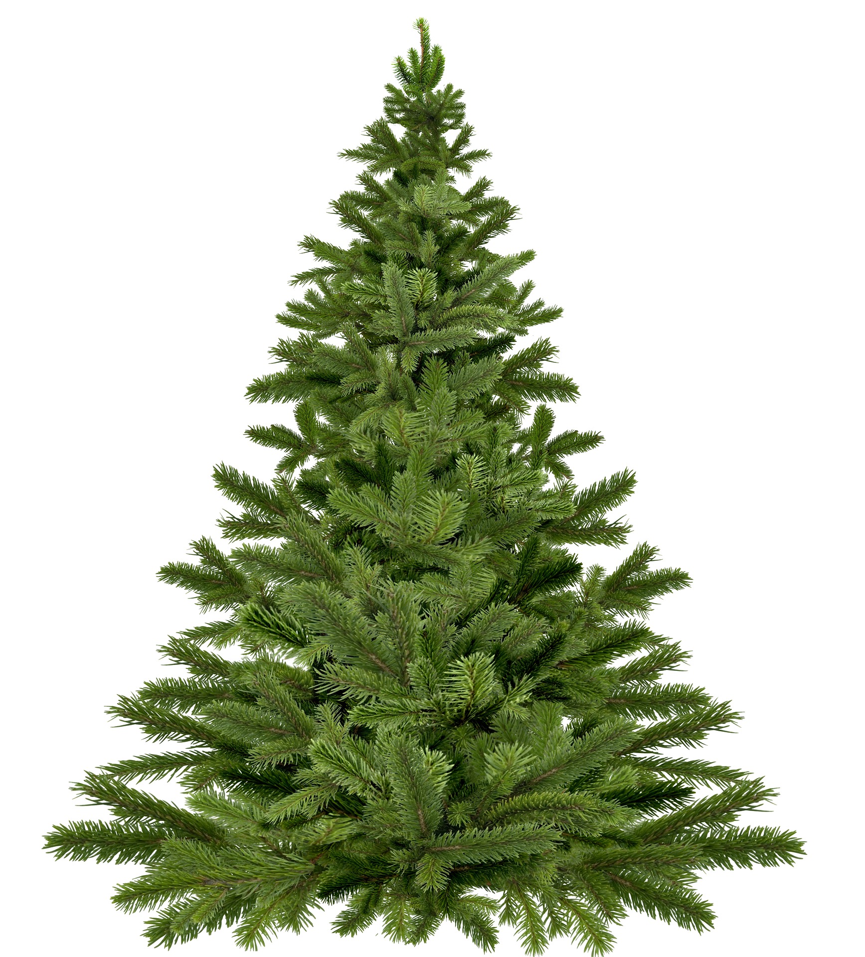 Favorite Holiday Traditions - Kathryn Taylor